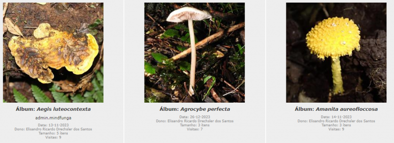 MIND.Funga – Monitoring and Inventorying Neotropical Diversity of Fungi